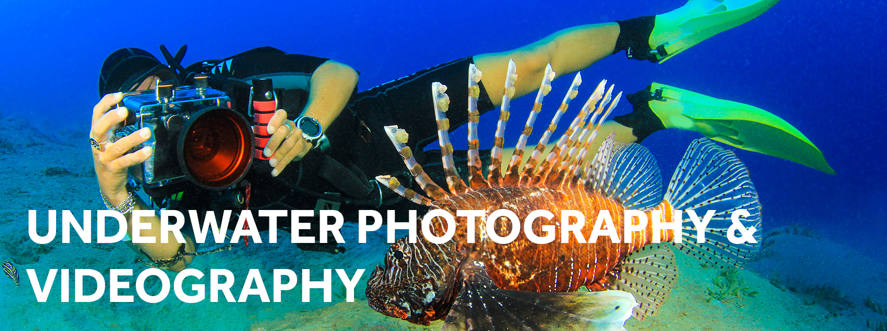 Dive And See | Cables, Connectors, Monitors, Cameras